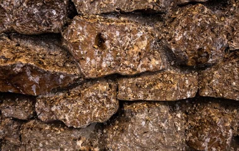 What Do Bat Droppings Look Like? | Miche Pest Control