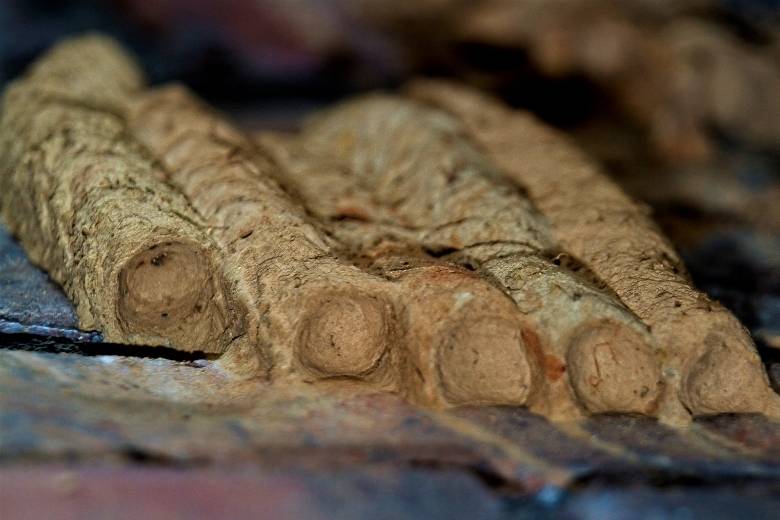 How To Get Rid Of Mud Dauber Wasps | Miche Pest Control